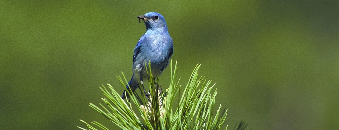 A guide to growing Twitter followers for busy parenting bloggers – The ...